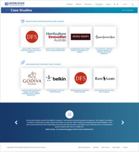 Custom Page Designs - TinyFrog Technologies