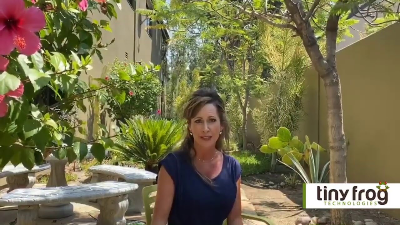 What are Website Visitor Profiles? - TinyFrog Technologies